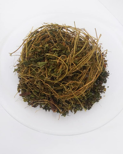 Gold Coast Cerasee "Jamaican Bush Tea" 8oz | GOLD COAST SEA MOSS