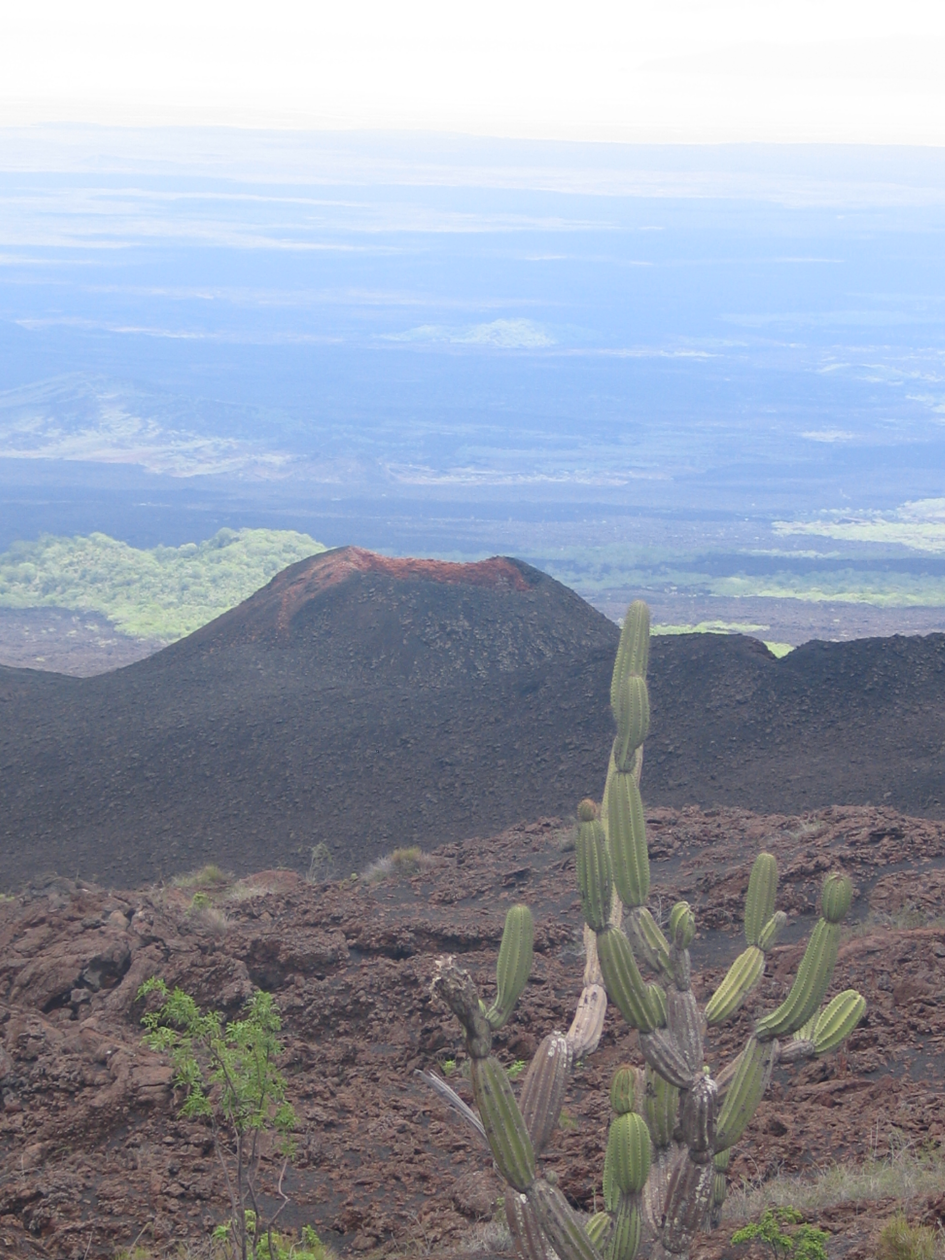 Kid-Friendly Galapagos Family Adventure | Global Family Travels