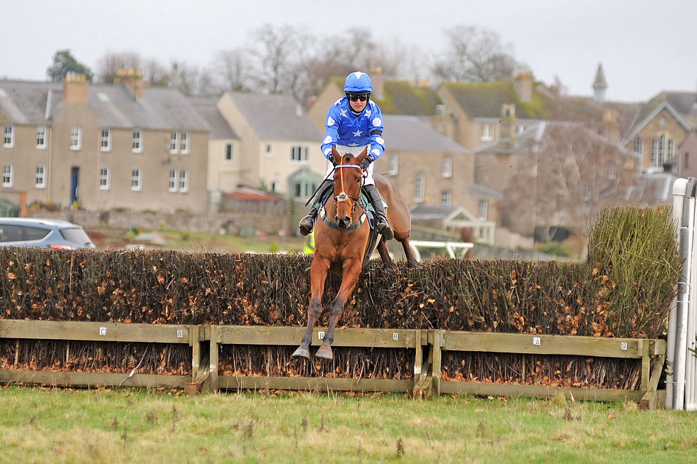 TRAINER TALK: ELEN WYLIE & MAX COMLEY | Pointing Pointers