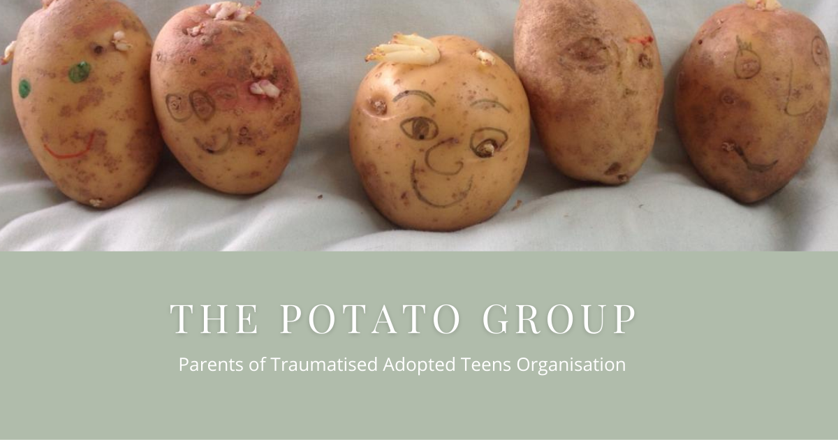 About | The Potato Group