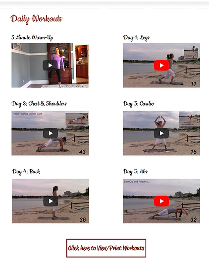 Online Wellness Programs