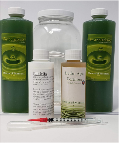 Ocean Explorer Microalgae Home Culture Kit | Mercer of Montana