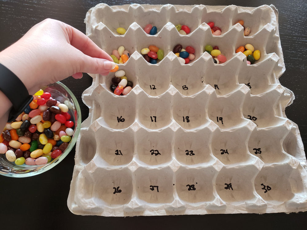 Edible Math: Egg Carton Counting
