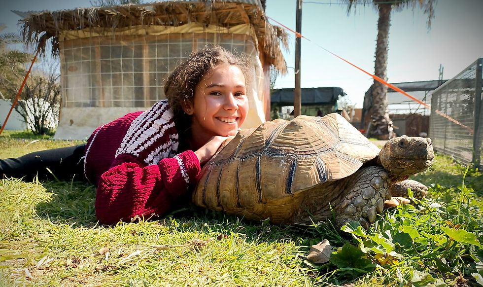 עמותת יש חווה כזאת | לשקם ולהציל בעלי חיים | כפר סילבר, Kfar Silver, ישראל