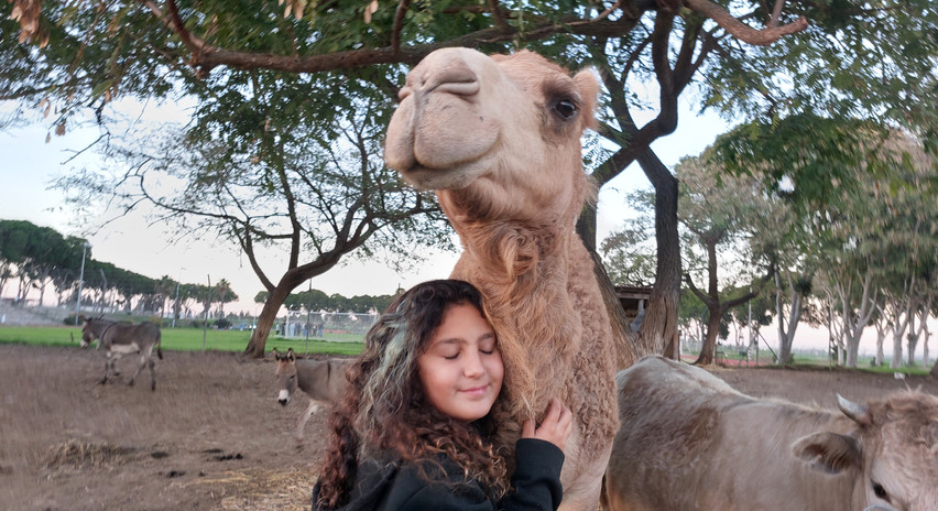 עמותת יש חווה כזאת | לשקם ולהציל בעלי חיים | כפר סילבר, Kfar Silver, ישראל