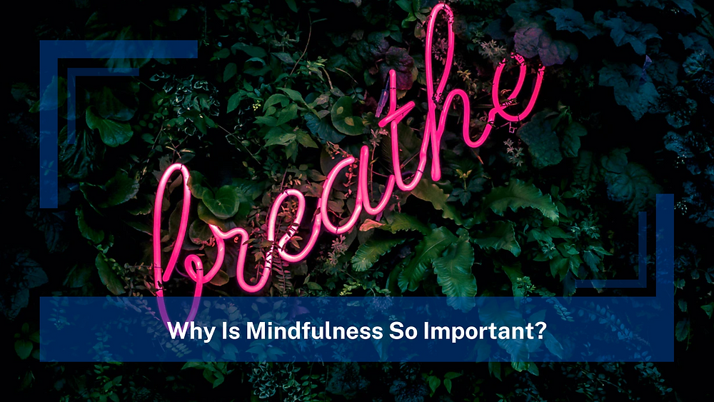 Why Is Mindfulness So Important?