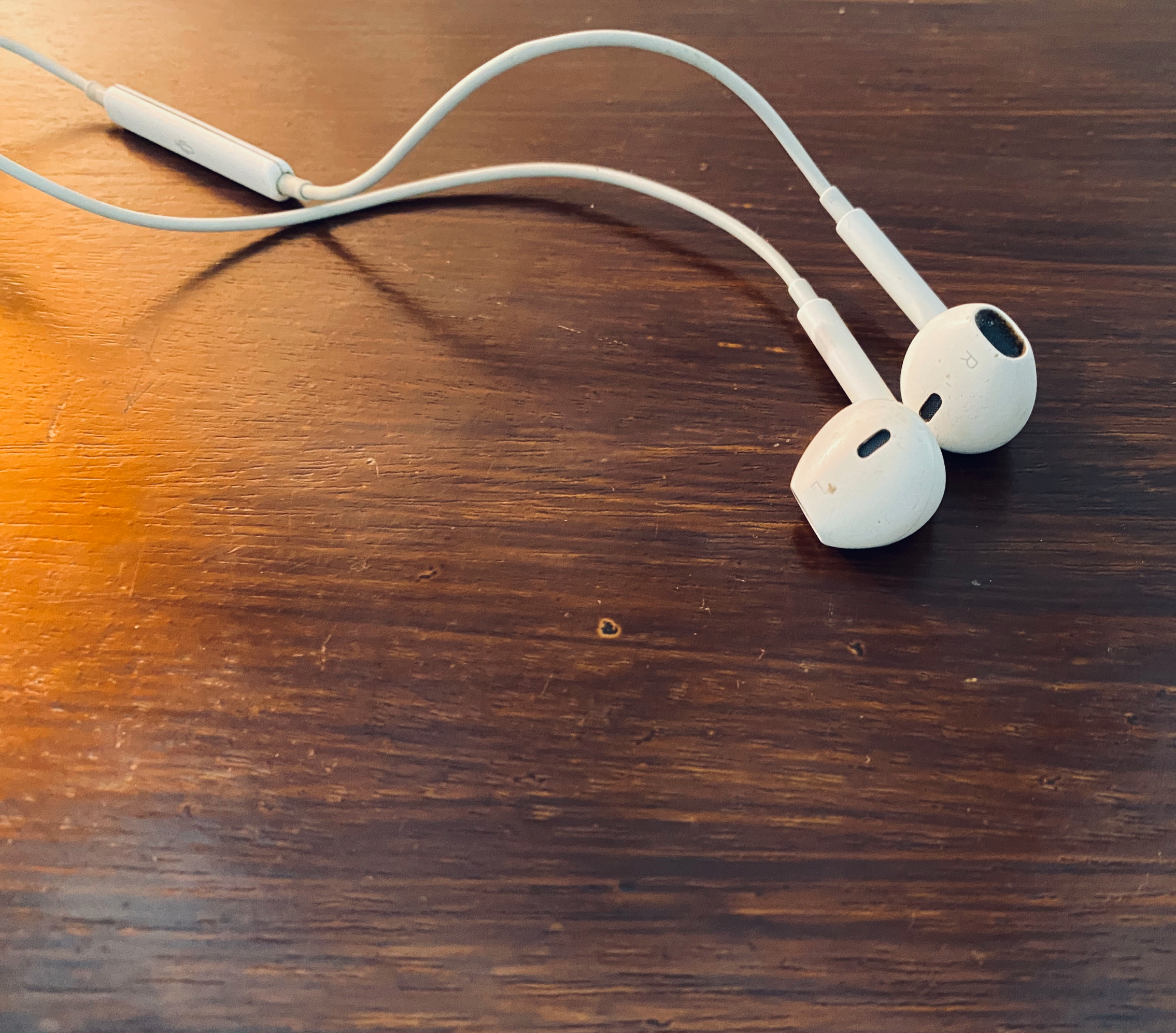 HOME | Ed Cunningham VO