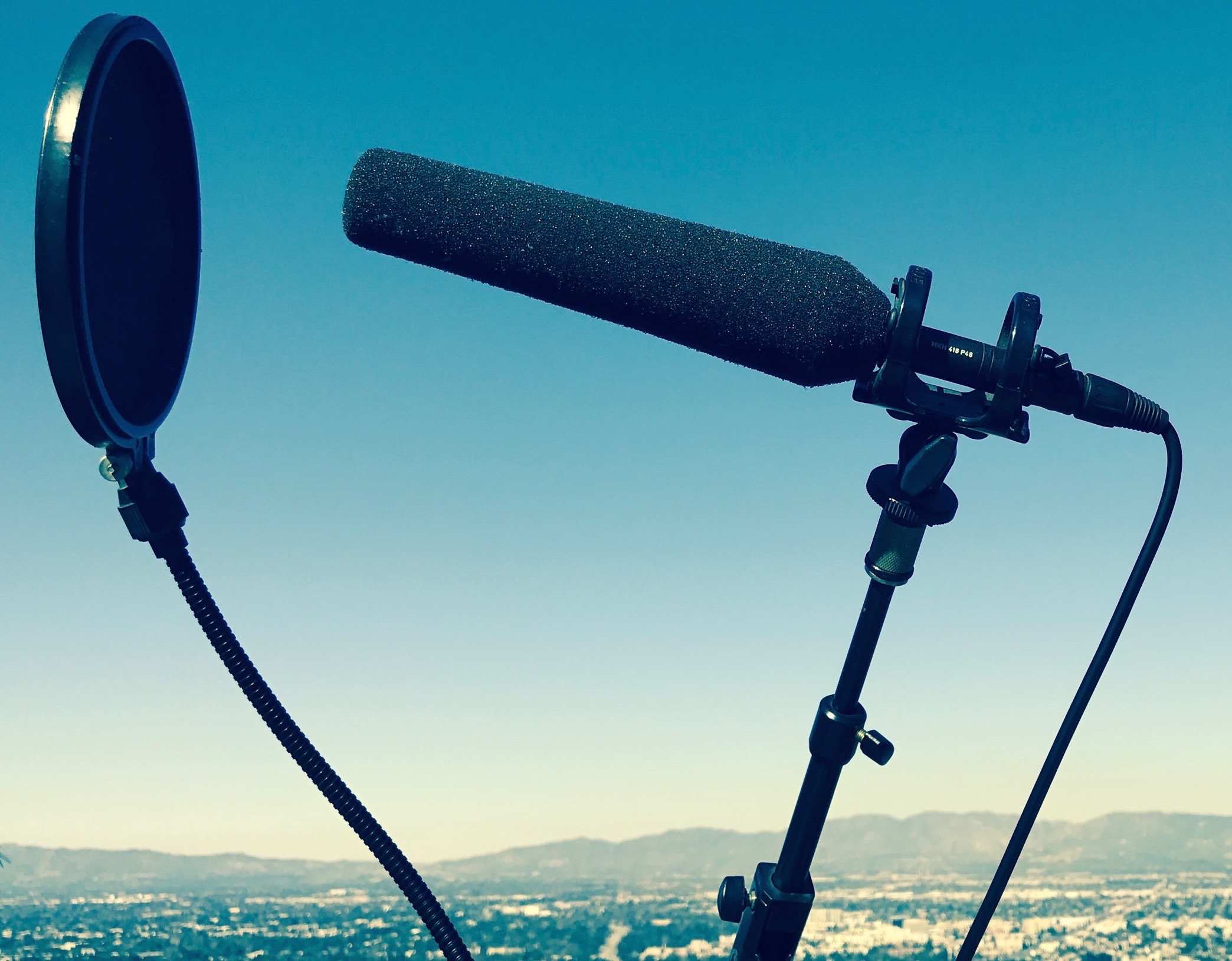 HOME | Ed Cunningham VO