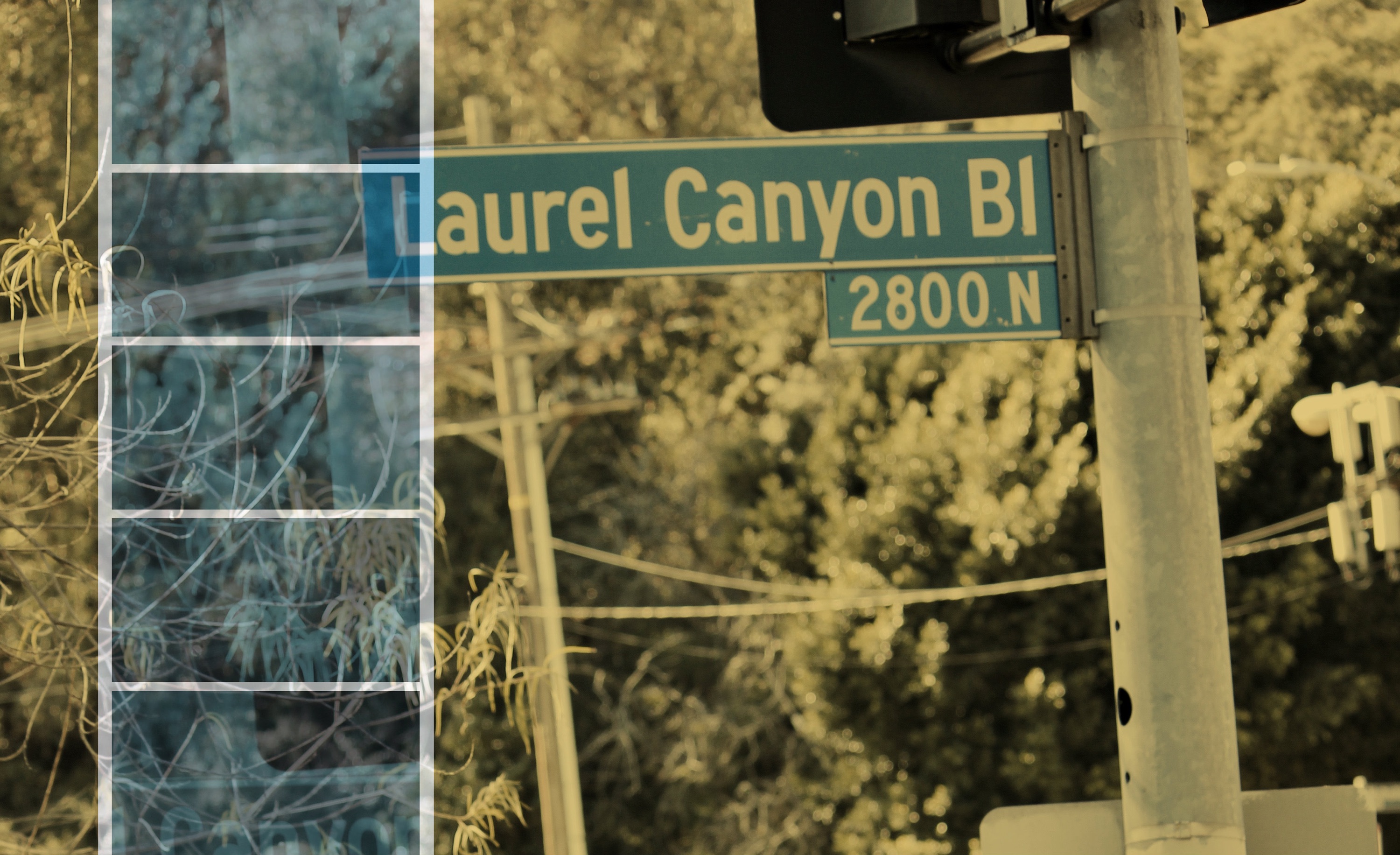 HOME | Ed Cunningham VO