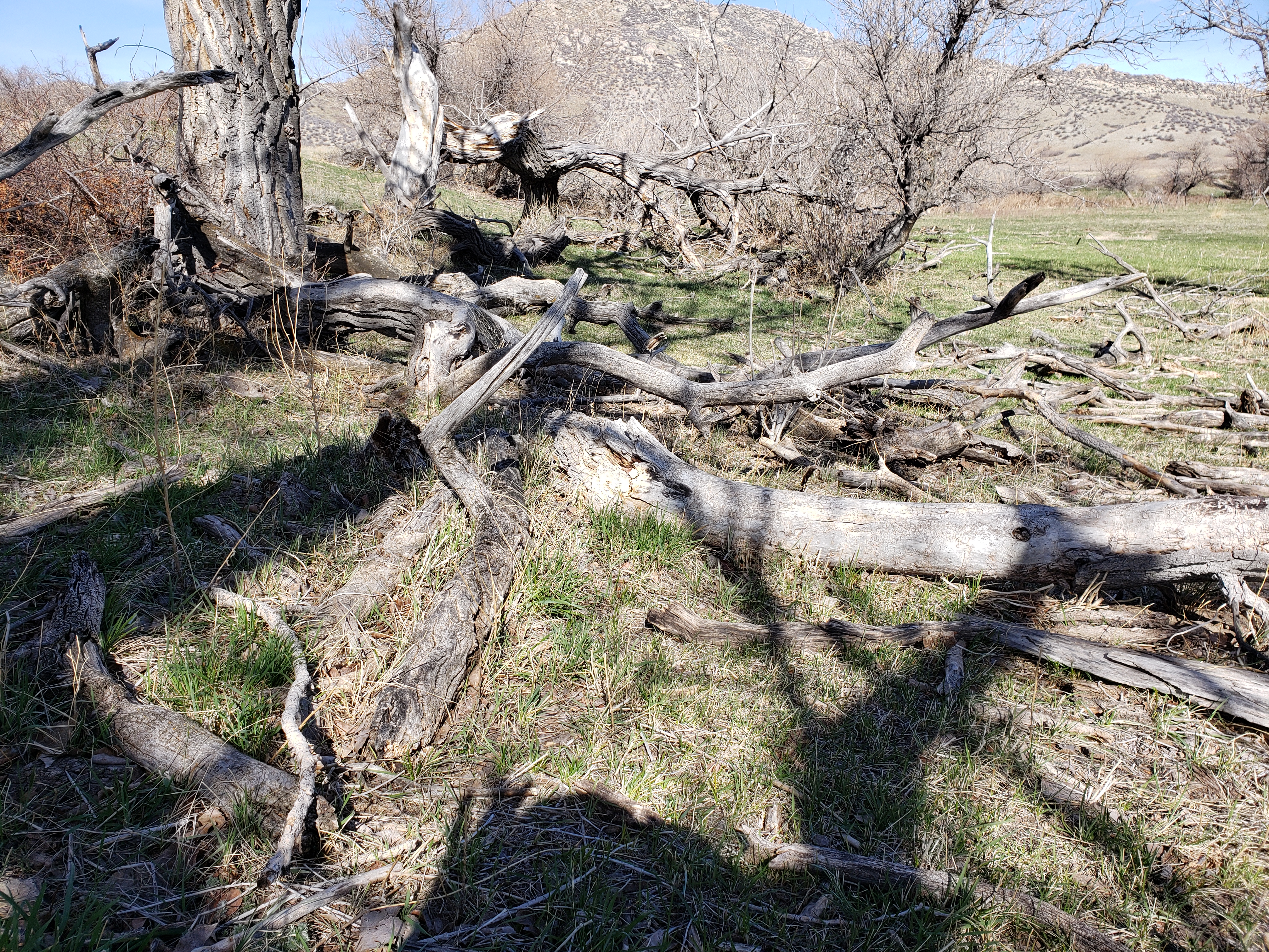 Home | Smith Construction And Excavation Services Tucson, Arizona