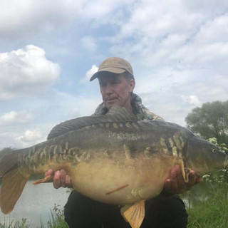 Hasse Fen Gallery | Lily Fisheries