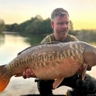 Stanford Hall Gallery | Lily Fisheries