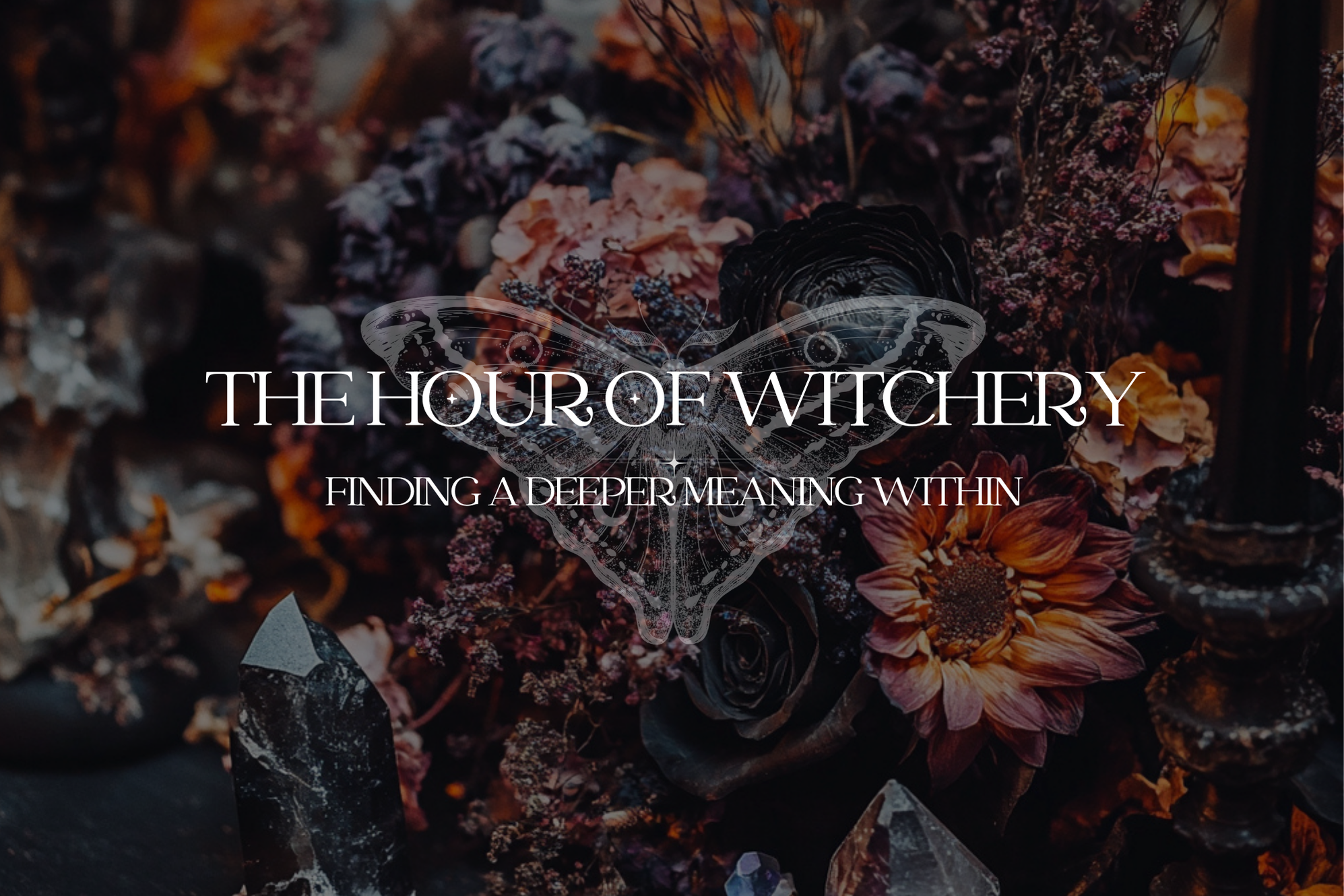 One Order. One Tree. | The Hour of Witchery