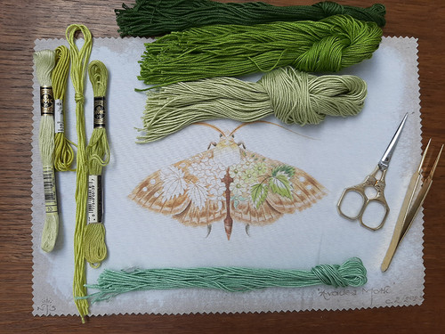 Full Embroidery Kits | Nicola Jarvis Studio