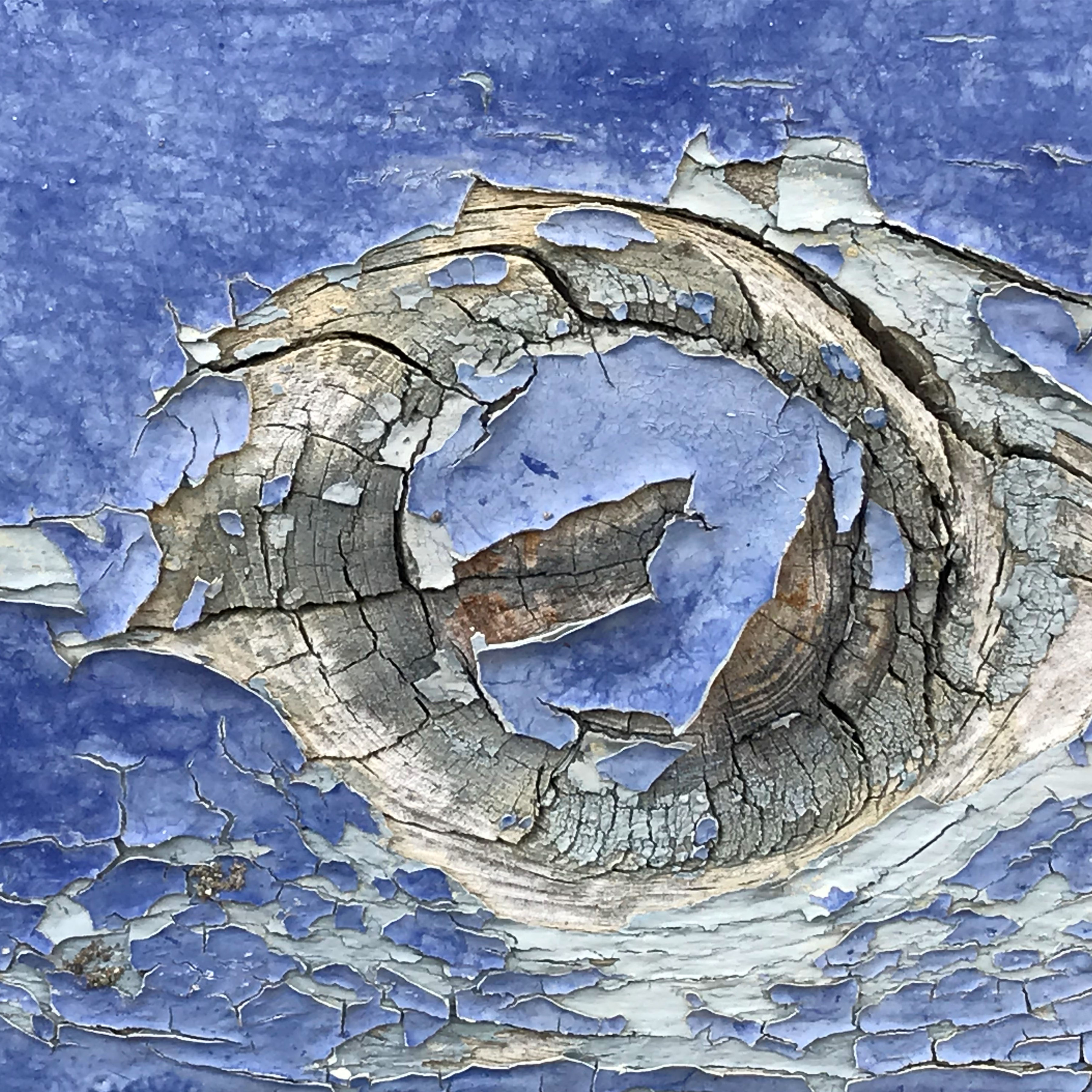 Marcy Bernstein | Photography