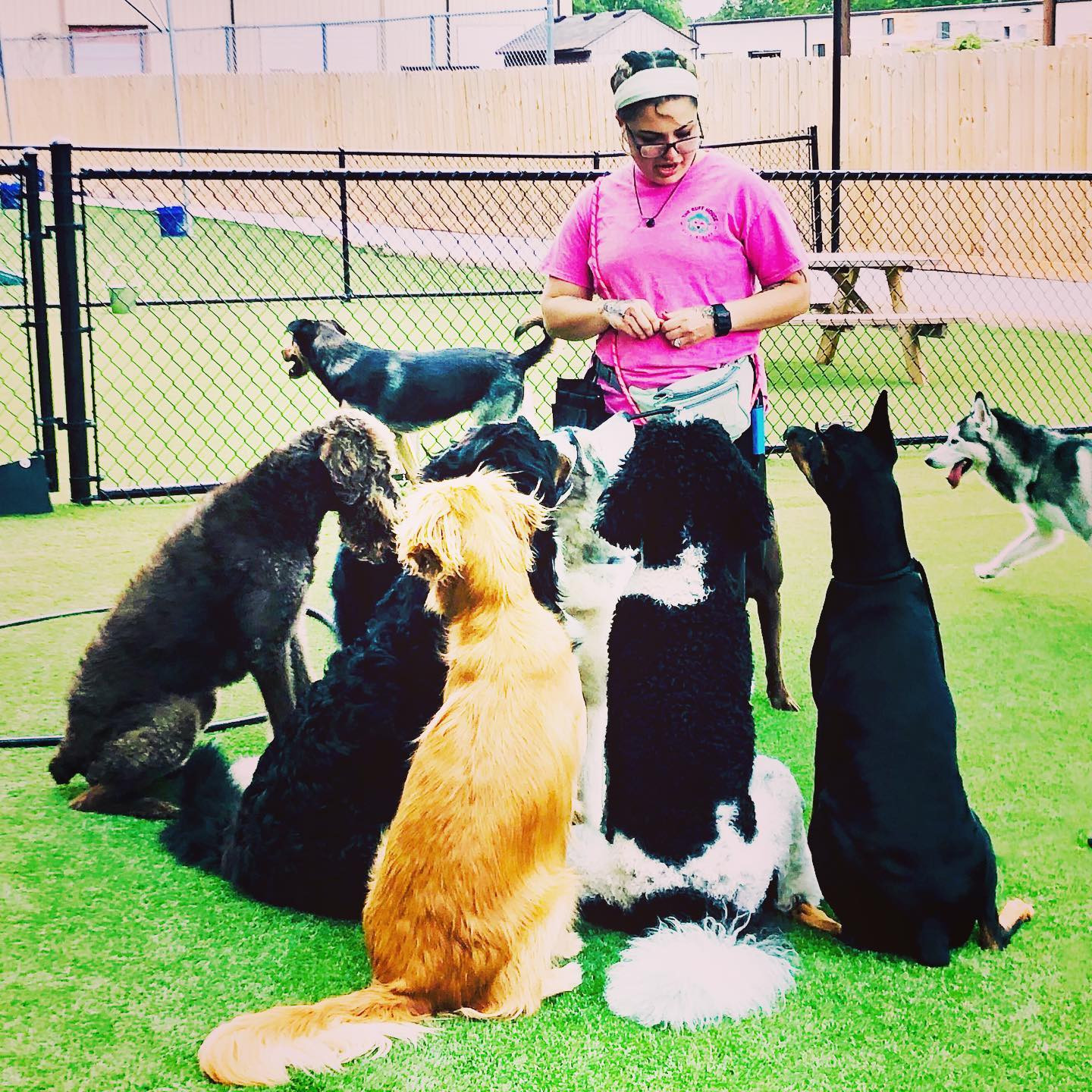 Join Our Team The Ruff House join-our-team-the-ruff-house