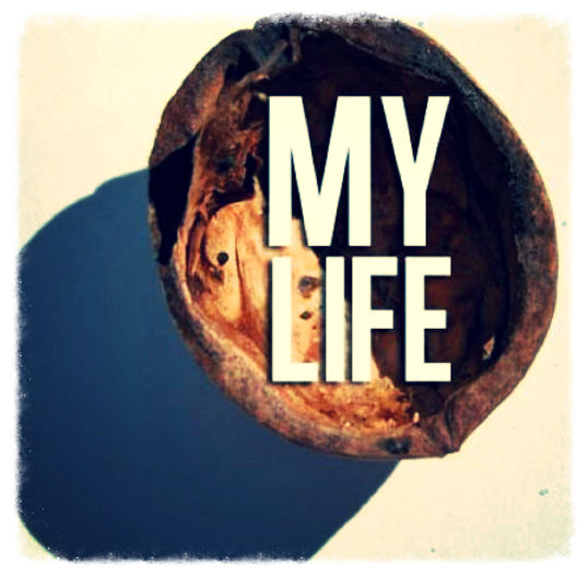 My life in a nut shell