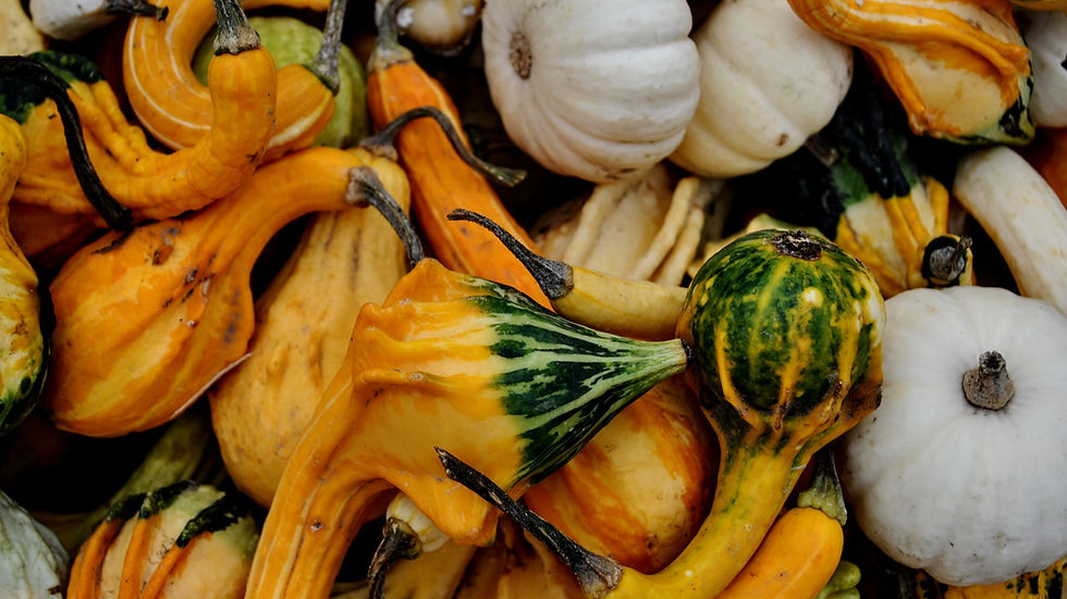 Gourds: Who gets to tell the story?