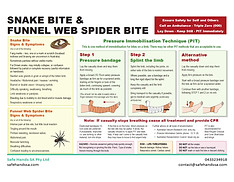 Resources | Safe Hands SA