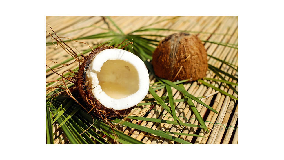¿Qué es la carne de coco y sus beneficios?