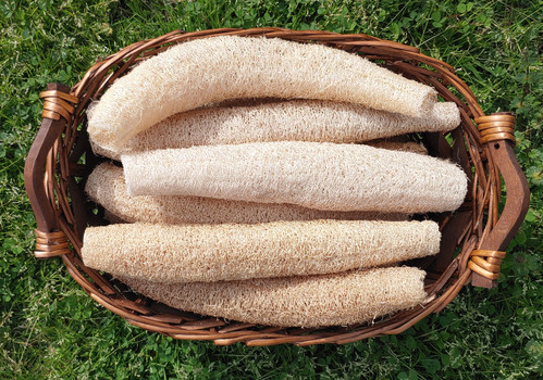 "Cut your own size" loofah sponge | Down to Earth