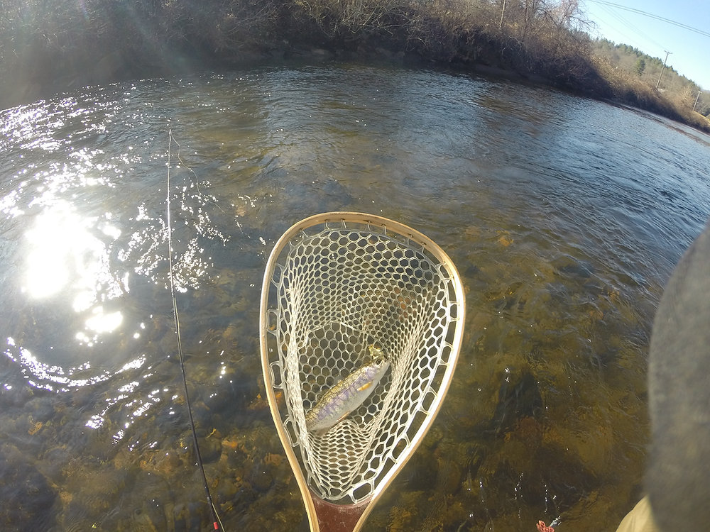 Smith River , Va. A beautiful bottom dam release river for trout habitat.