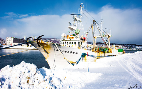 Architecture | izading-art