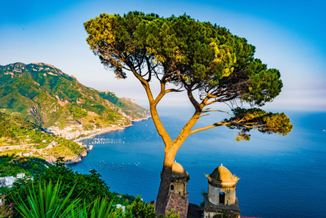 Nature | izading-art