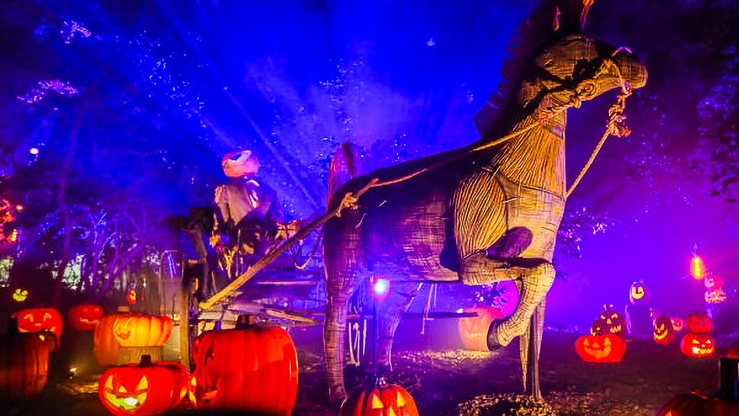 October 2024 Hotlist: 10 Best Events & Activities in Los Angeles