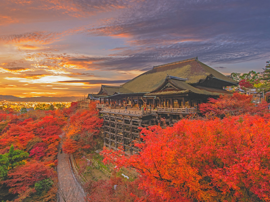 How to Experience the Magic of Autumn in Japan: Best Spots, Foods ...