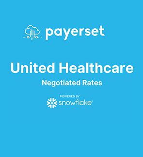 Snowflake Marketplace | Payerset