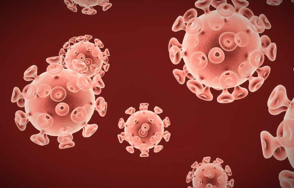 Feline Immunodeficiency Virus