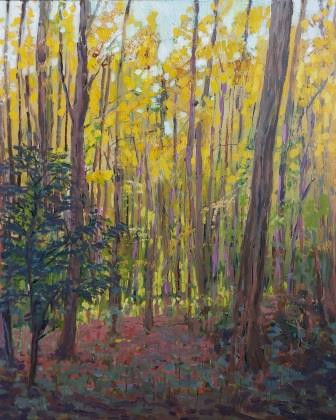 Landscapes | Angie Spencer Paintings