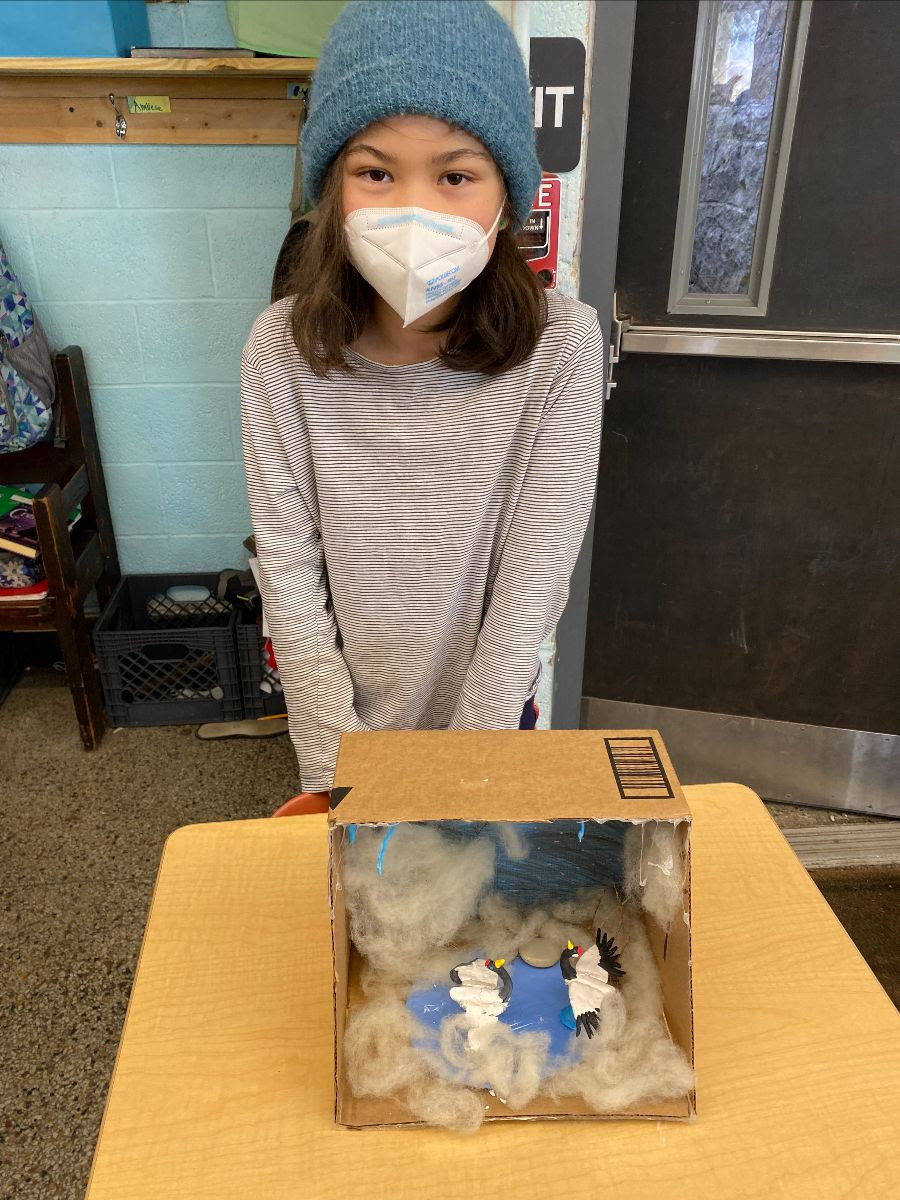 Grade 4 Animal Research Projects