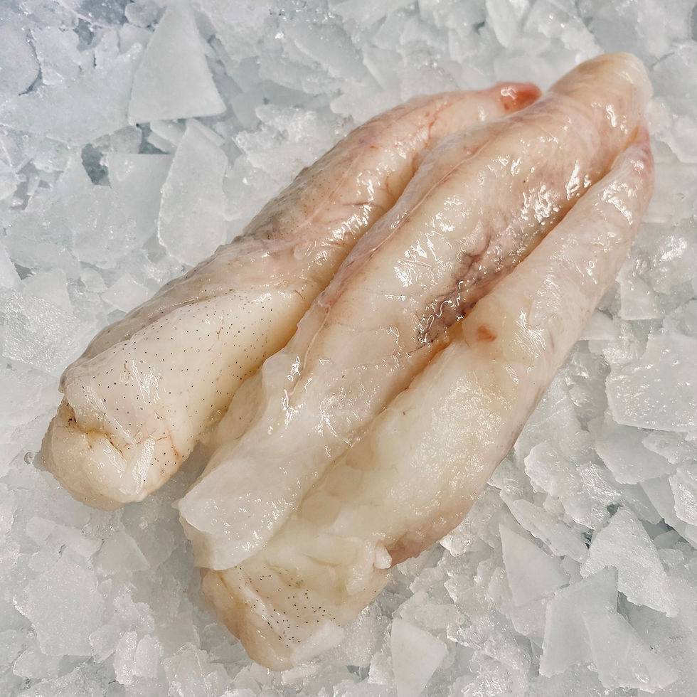 Fish Counter | Matthew Stevens Cornish Fish