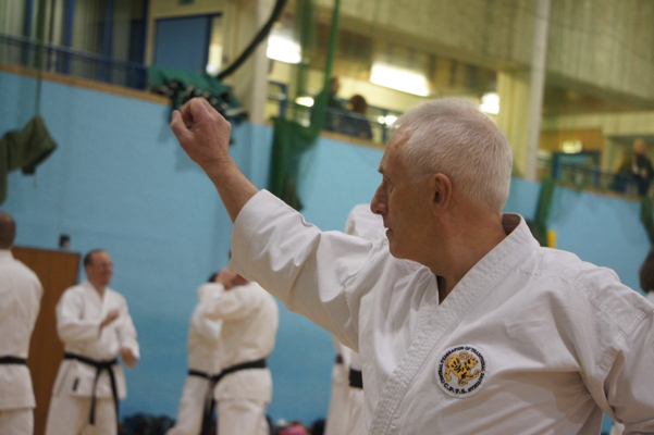 Harada Sensei Shotokai Course - February 2015