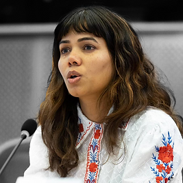 About | Nasreen Sheikh