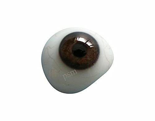 Artificial/Prosthetic eye (pack of 3) | JaggiBrothers