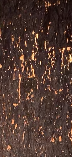 Kuper Base-Sample | www.stantongray.com