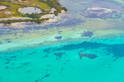 Boca Grande Key IX | Claudia Chloe