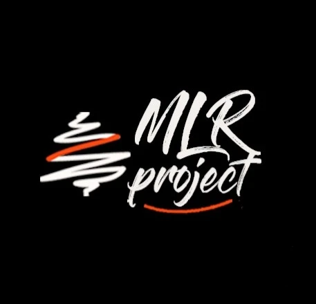 PROGRAMAS | MLR PROJECT