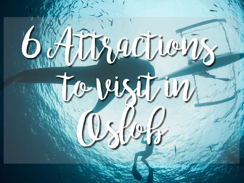 '6 ATTRACTIONS TO VISIT IN OSLOB'