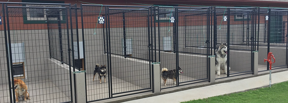 Kennel Sponsorship | Midrand Spca