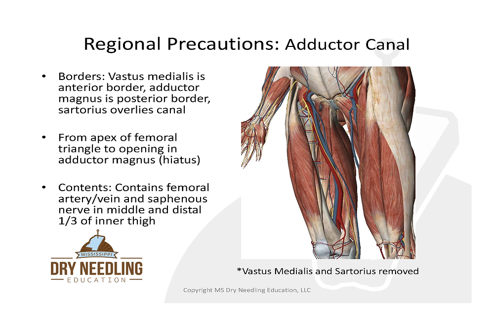 Safe and Smart Dry Needling Round Five