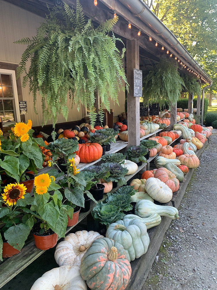 Crop Report: Welcome Fall!