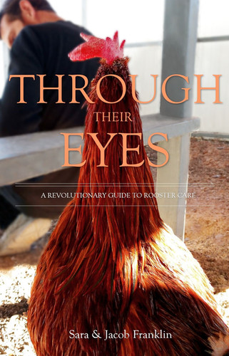 Through Their Eyes - A Revolutionary Guide to Rooster Care (eBook ...