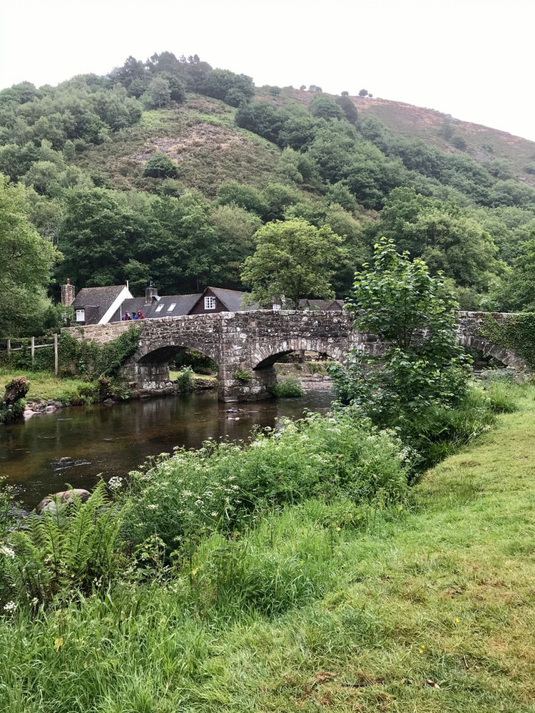 Fingle Bridge - Dartmoor river walk and picnic spot with kids