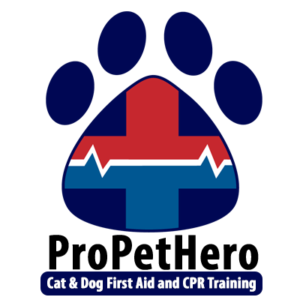 Pet First Aid and CPR | Safety Solutions
