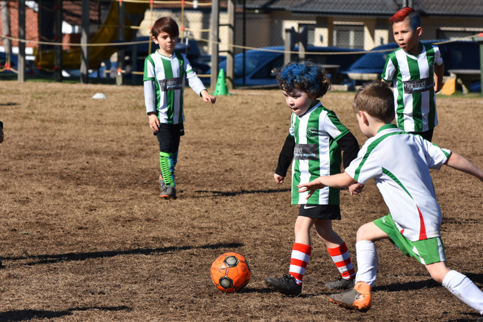 Cronulla Seagulls Football Club | Play Football | NEWS