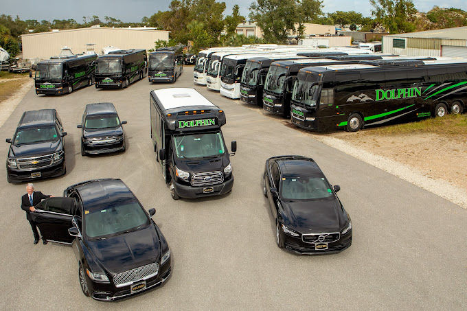 Dolphin Transportation